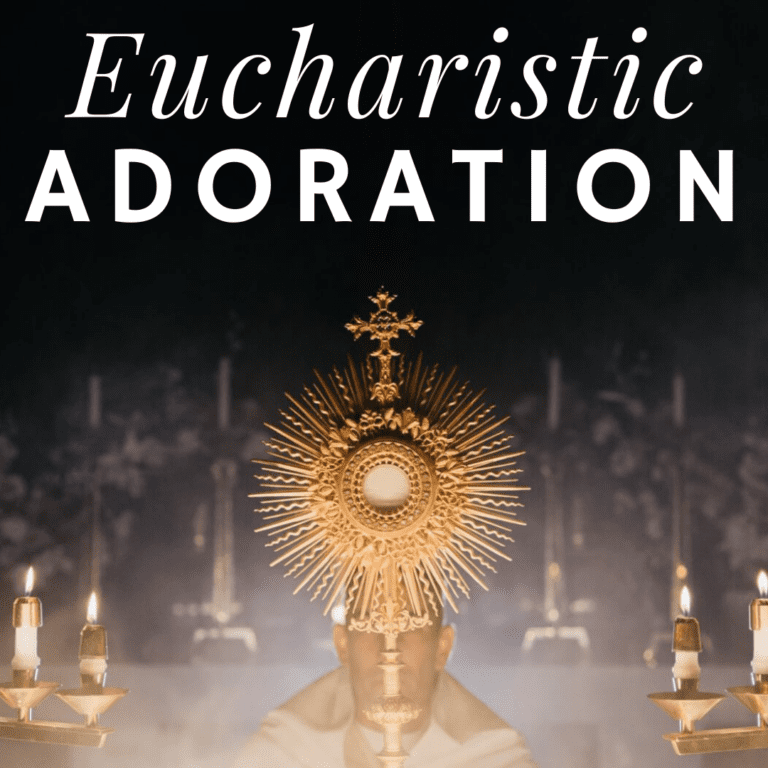 Adoration – St Robert Church
